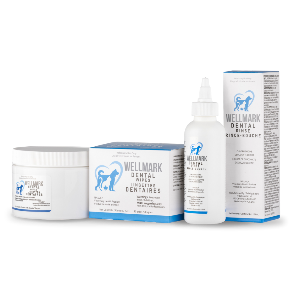 Wellmark Dental Wipes