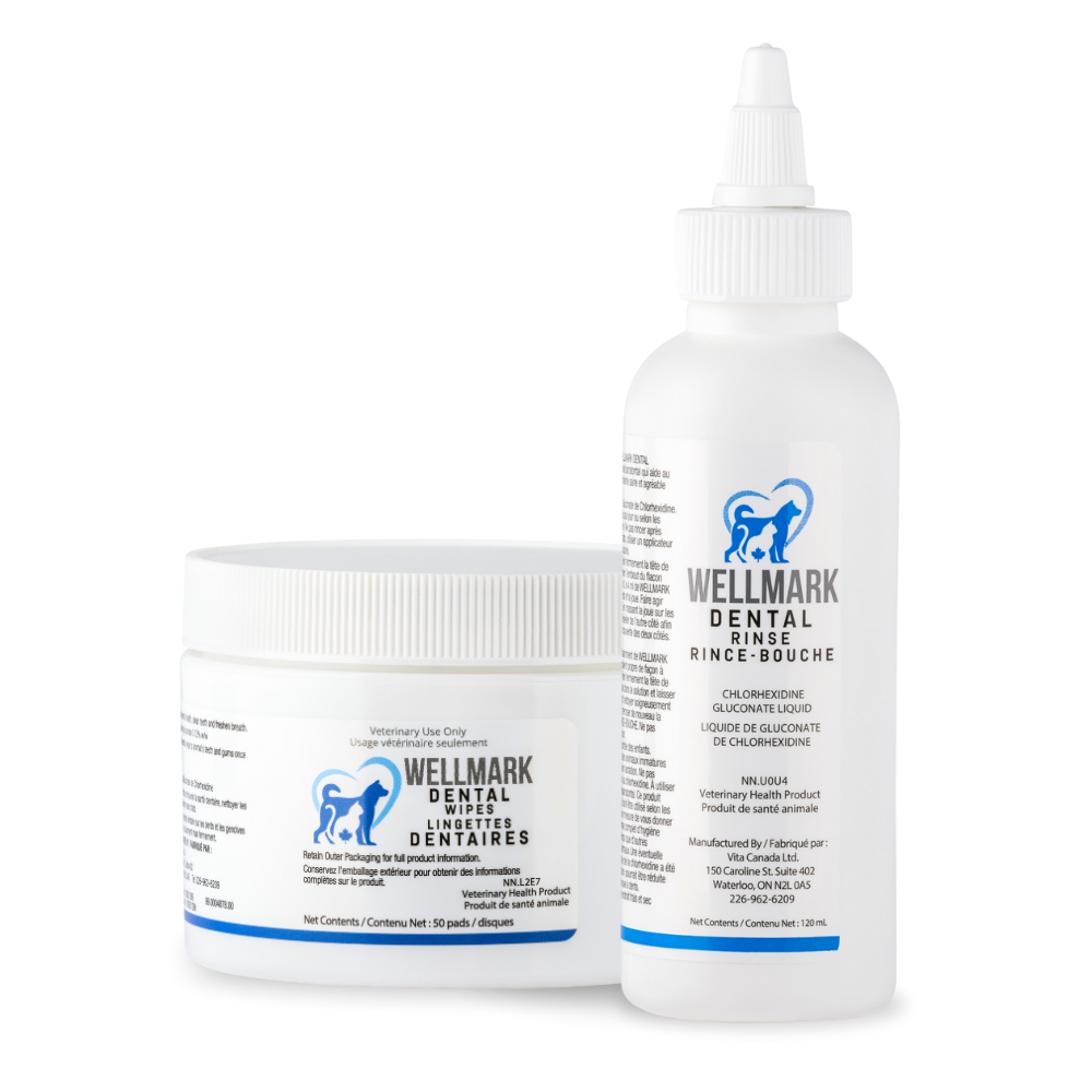 Wellmark Is The Heart of At-Home Pet Wellness Products