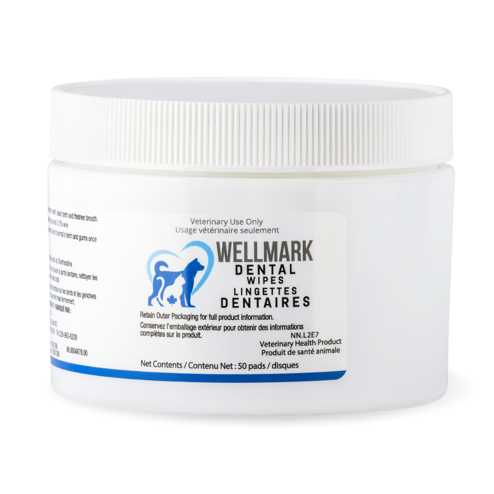 Wellmark Dental Wipes