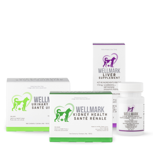 Wellmark Is The Heart of At-Home Pet Wellness Products