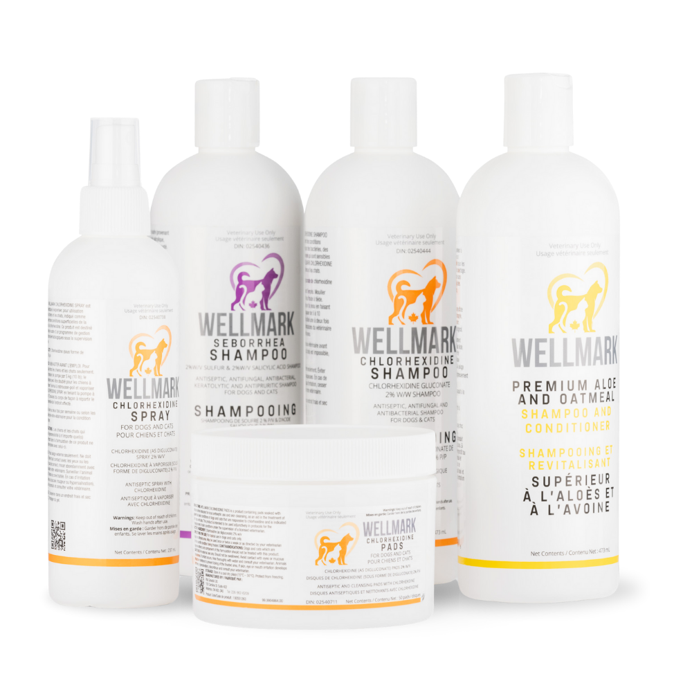 Wellmark Chlorhexidine Shampoo