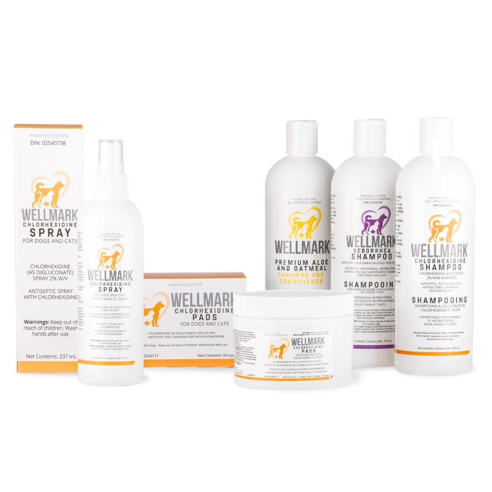 Wellmark Chlorhexidine Shampoo