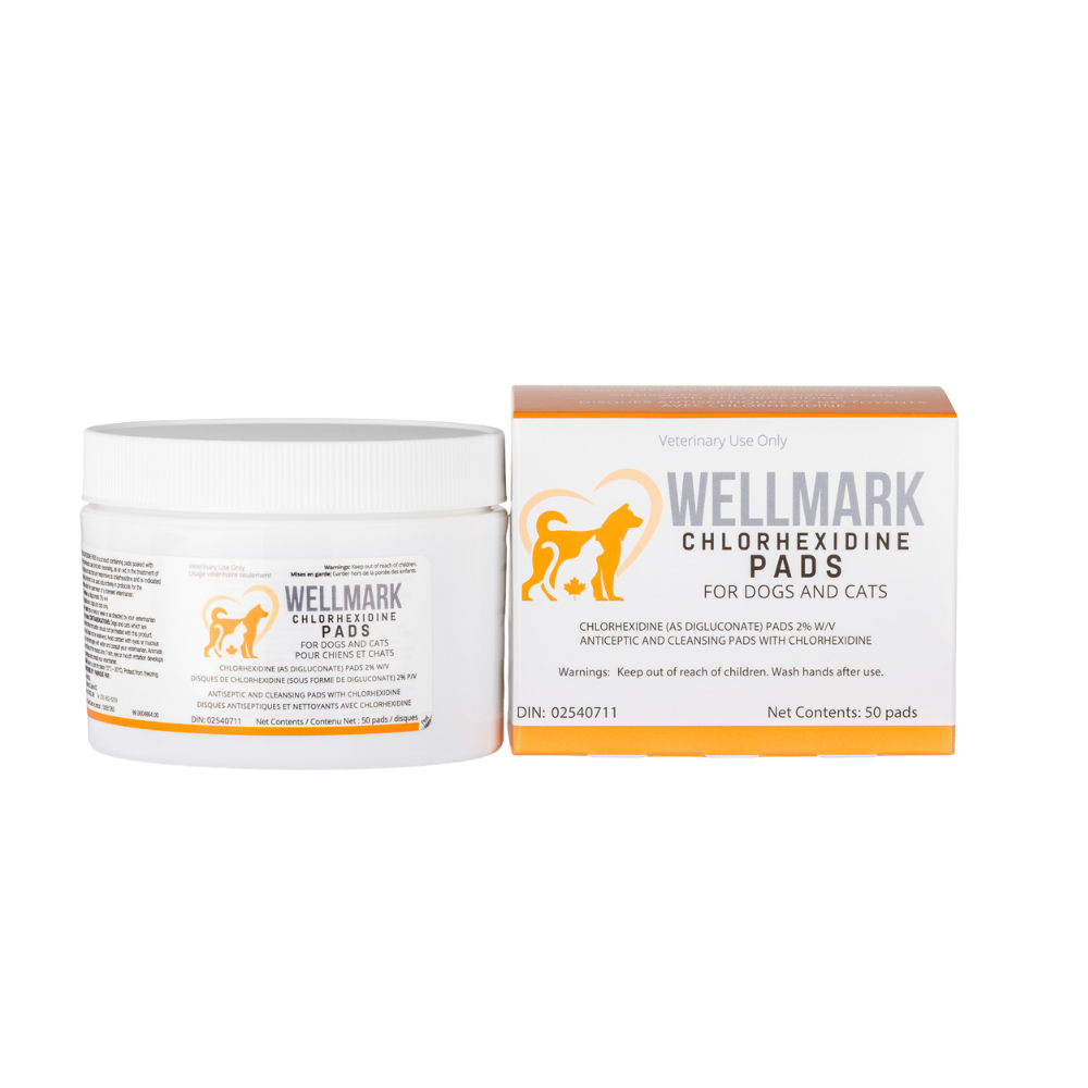 Wellmark Chlorhexidine Pads
